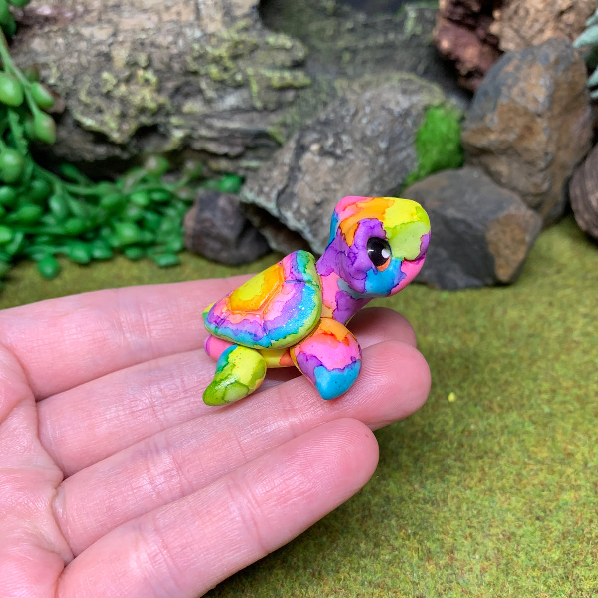 Rainbow Turtle – Prismatic Brush